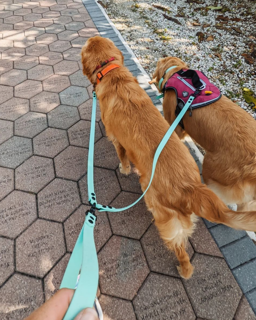 Heavy Duty Double Dog Leash | Two Dog Leash Splitter – Evergreen Dog Co.